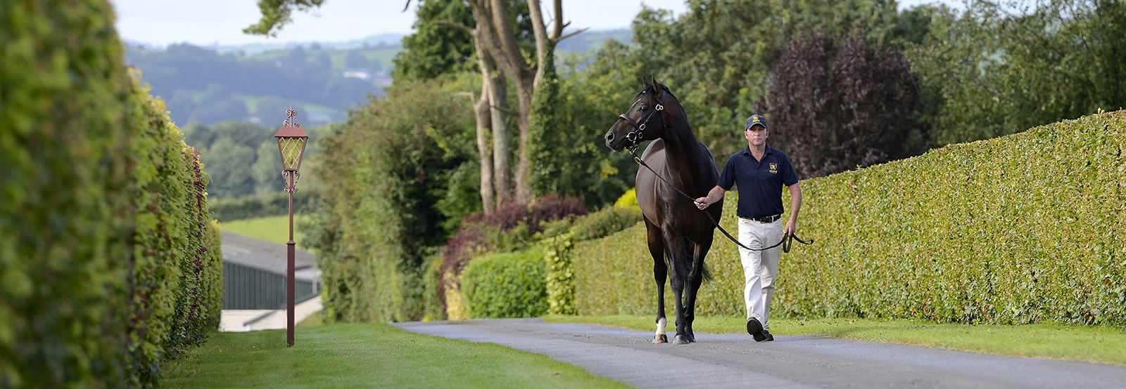 Rathbarry Stud – Fermoy, Co Cork